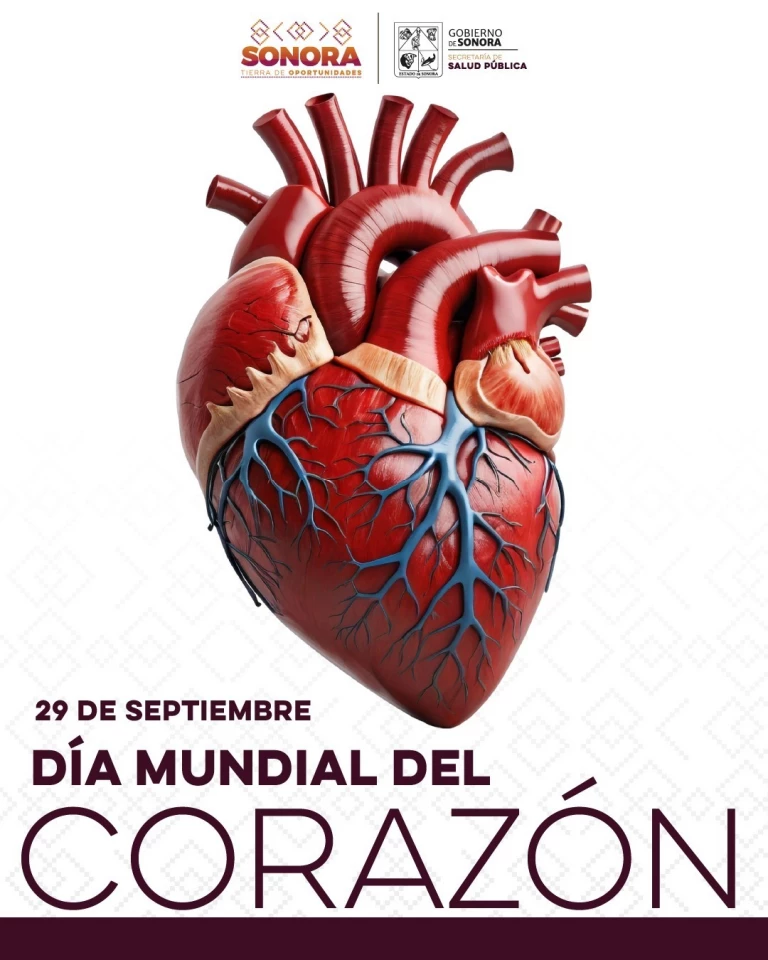 Llaman a cuidar el corazón con hábitos saludables | Lo relevante ...